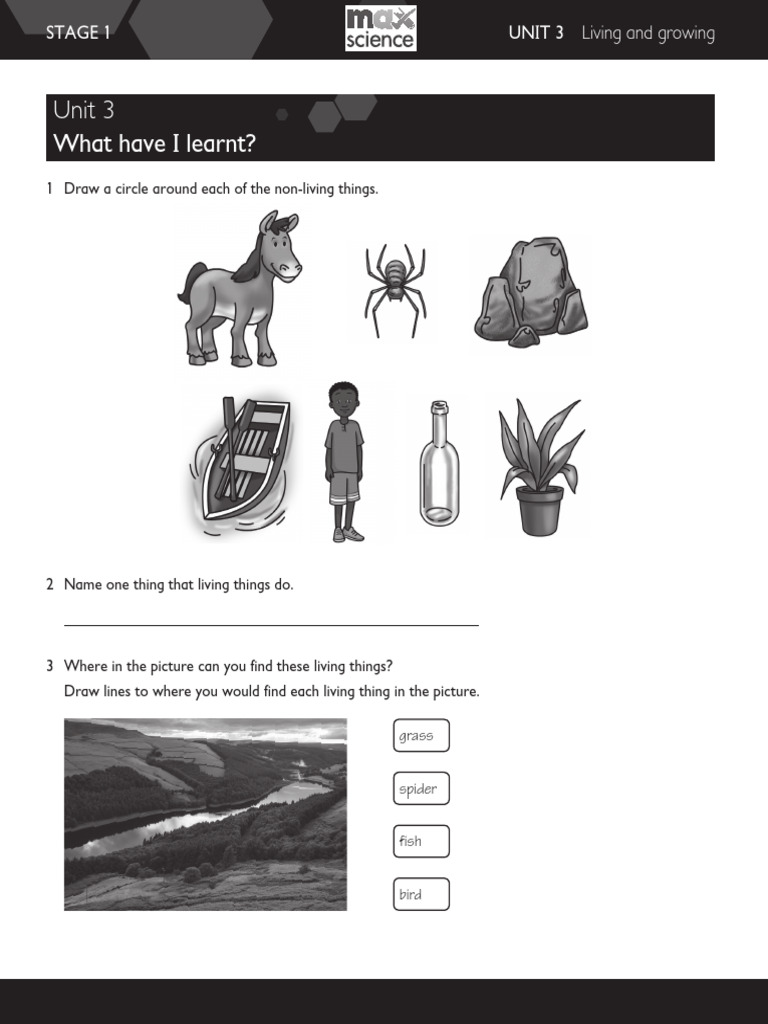 Living and Growing: Stage 1 Unit 3 Activities | PDF