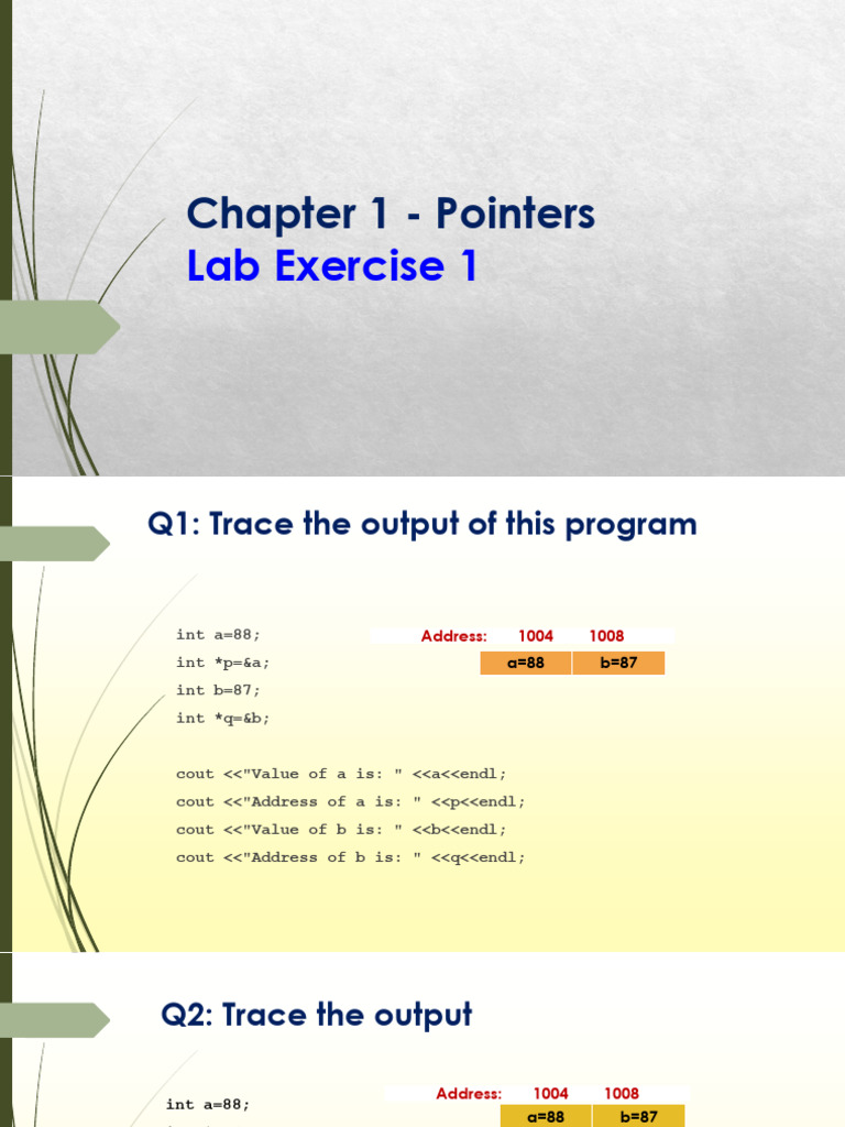 1 LabExercise Pointers | PDF