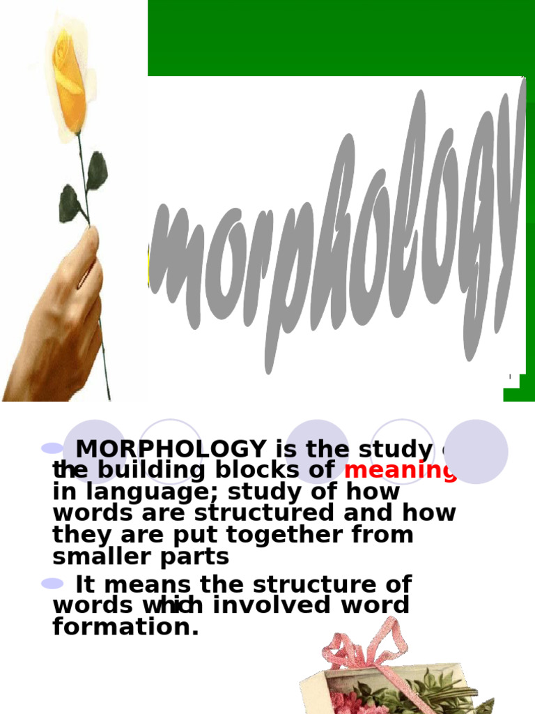 Morphology and Word Formation Explained | PDF | Word | Morphology ...