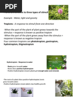 Plant Responses to Environmental Stimuli | PDF | Plants | Biology