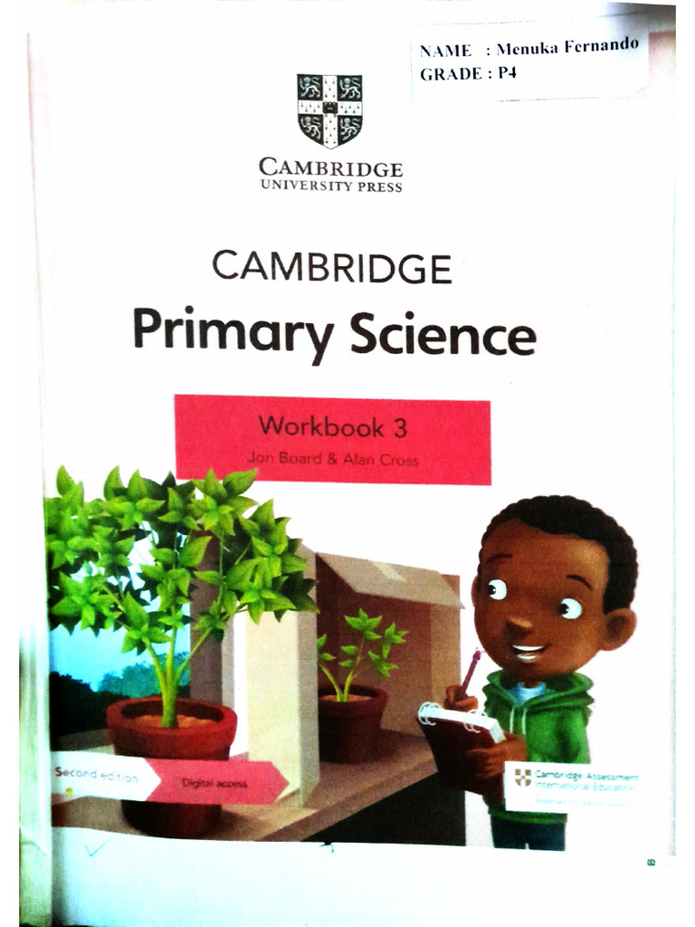 Primary Science P4 Workbook | PDF