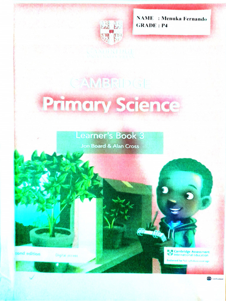 Primary Science P4 Learner's Book | PDF