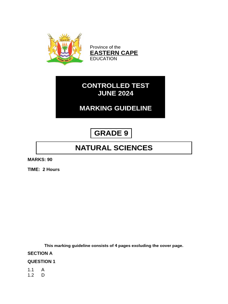 Grade 9 Natural Sciences Test Guide | PDF | Rust | Chemical Substances