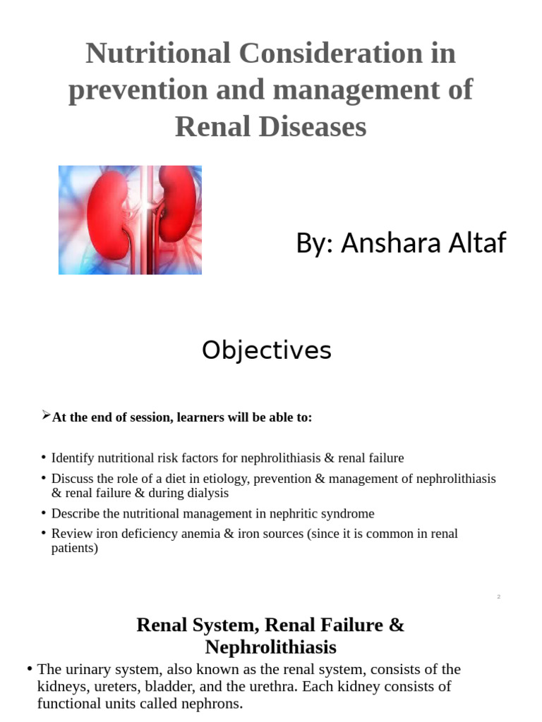 Nutritional Management of Renal Diseases | PDF | Kidney | Urinary System