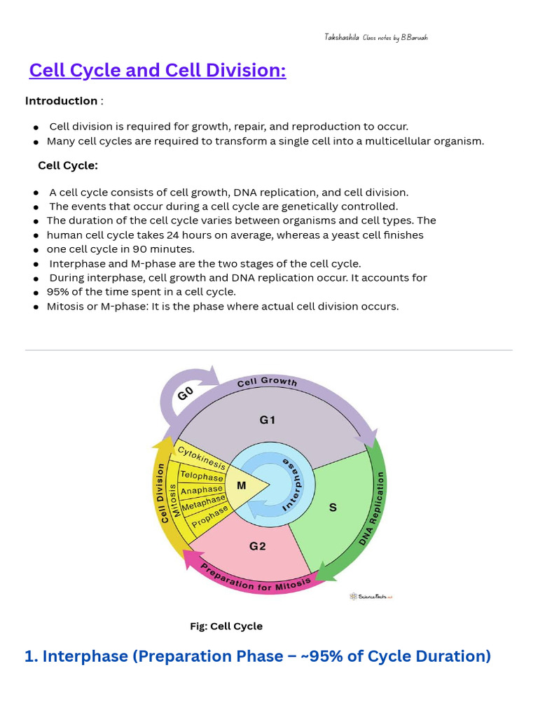 Cell Cycle and Division Overview | PDF | Meiosis | Mitosis