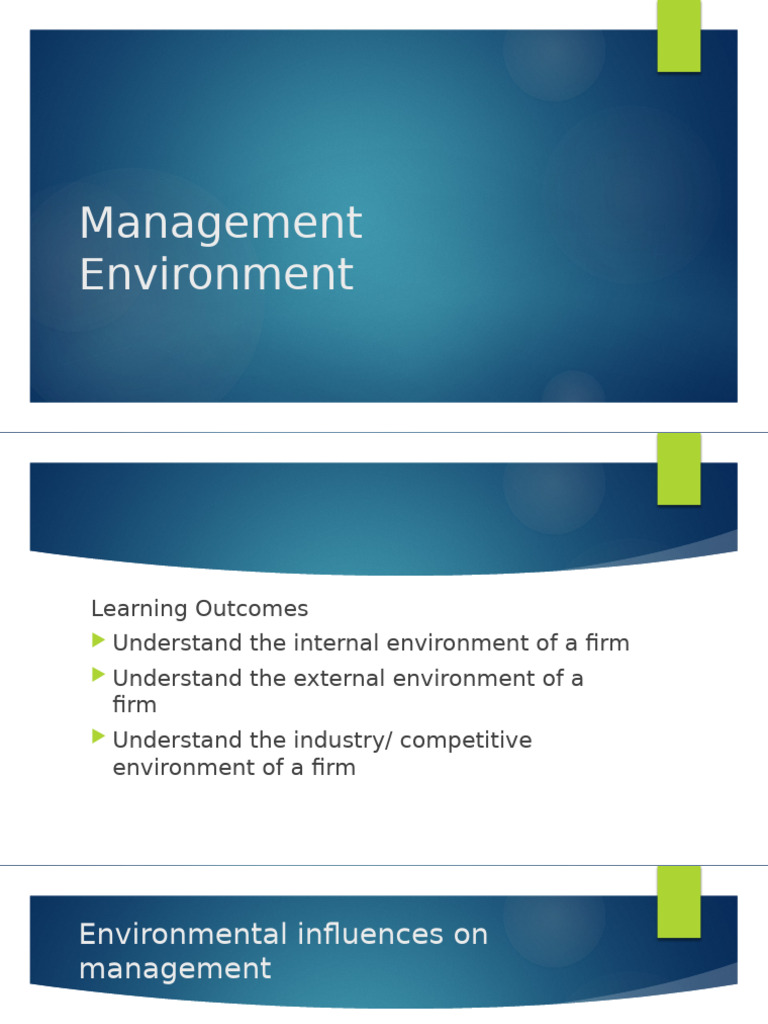 Understanding the Management Environment | PDF | Profit (Economics ...