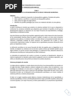Dismetría de MMII: Diagnóstico y Técnicas | PDF | Pelvis | Sistema ...