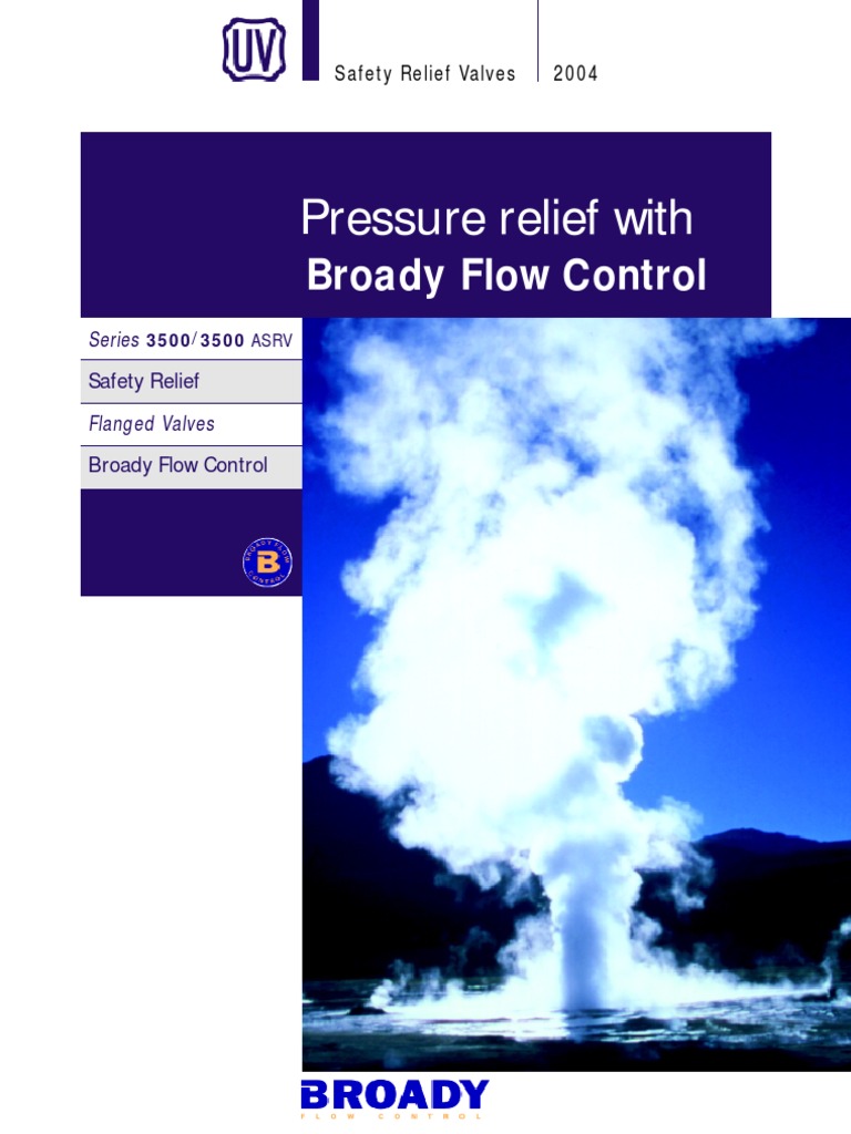 Industrial Safety Valve Solutions | PDF | Valve | Steel