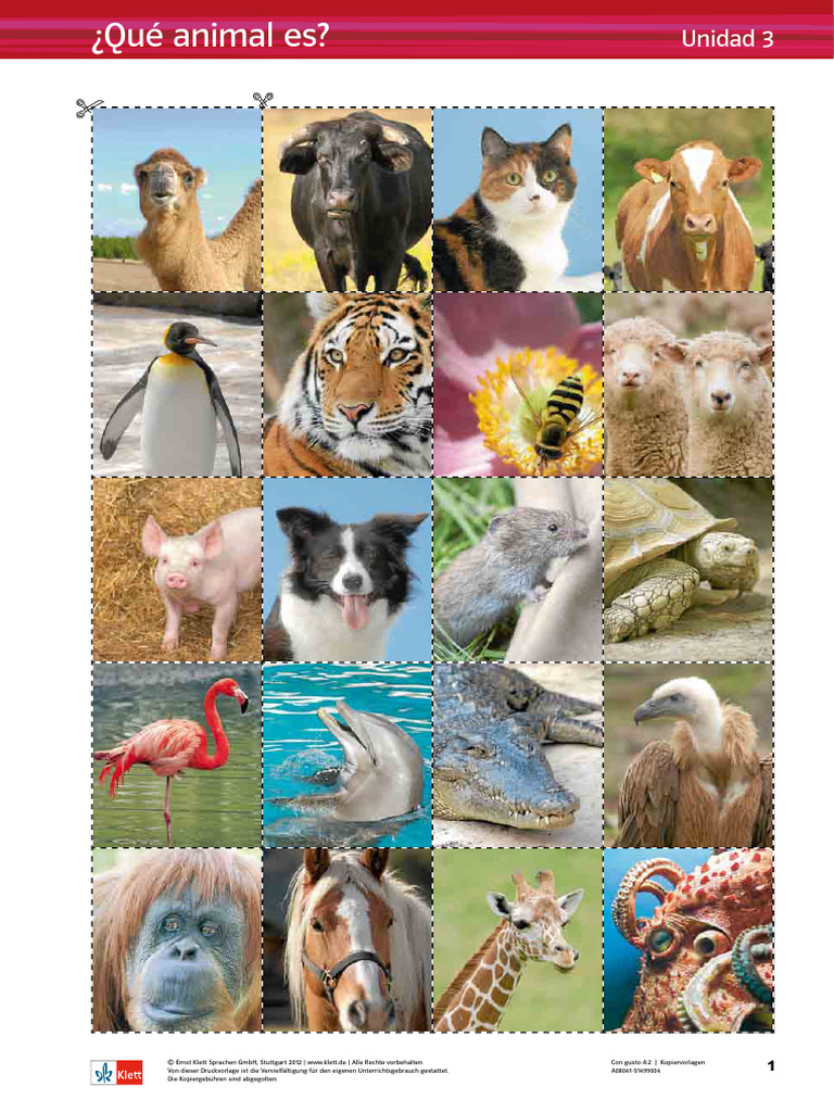 Con Gusto A2 U03 Animal | PDF