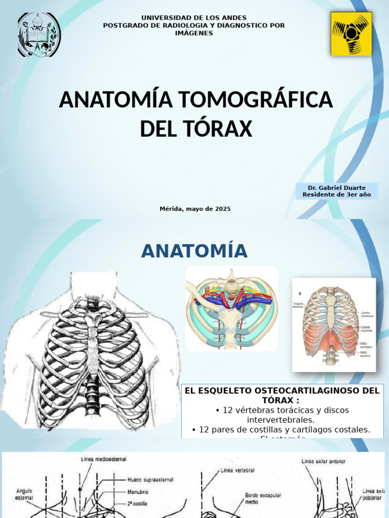Anatomía y Protocolo de TC del Tórax | PDF | Tórax | Pulmón