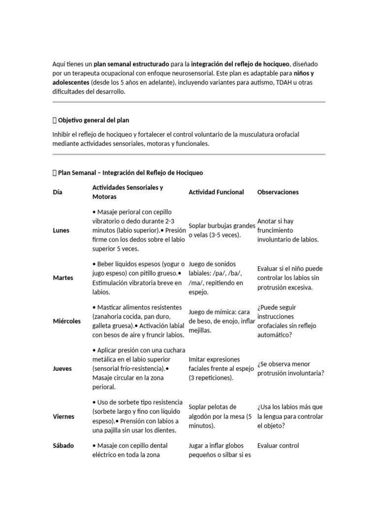 Plan Reflejo de Hociqueo | PDF