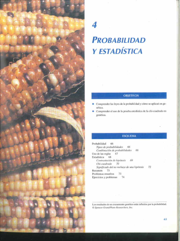 Cap.4 Probabilidad y Estadística | PDF