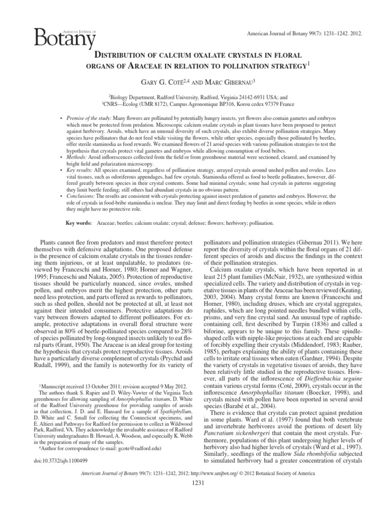 American J of Botany - 2012 - Cot - Distribution of Calcium Oxalate ...