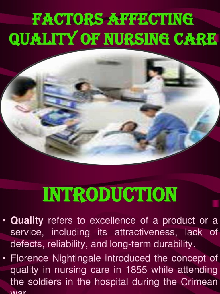 Factors Influencing Nursing Care Quality | PDF | Nursing | Occupational ...