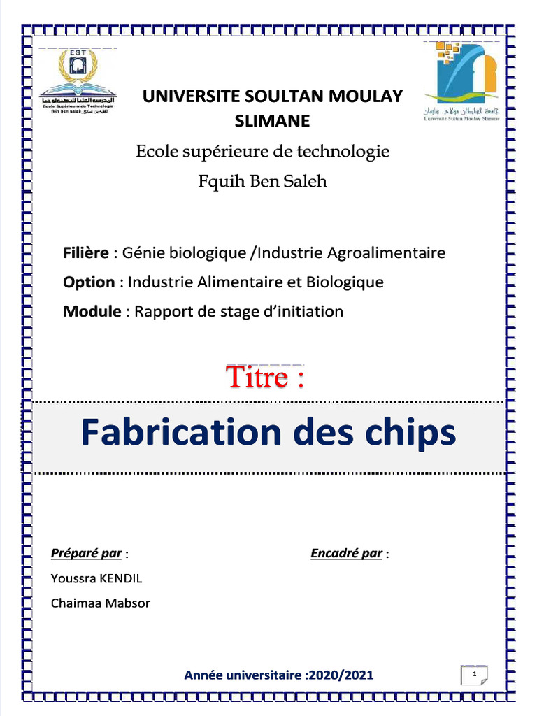 Chips Production | PDF