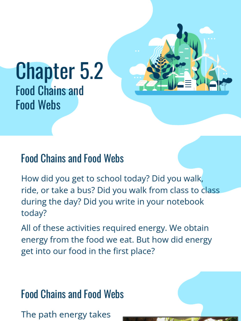 Understanding Food Chains and Webs | PDF | Foods | Food Web