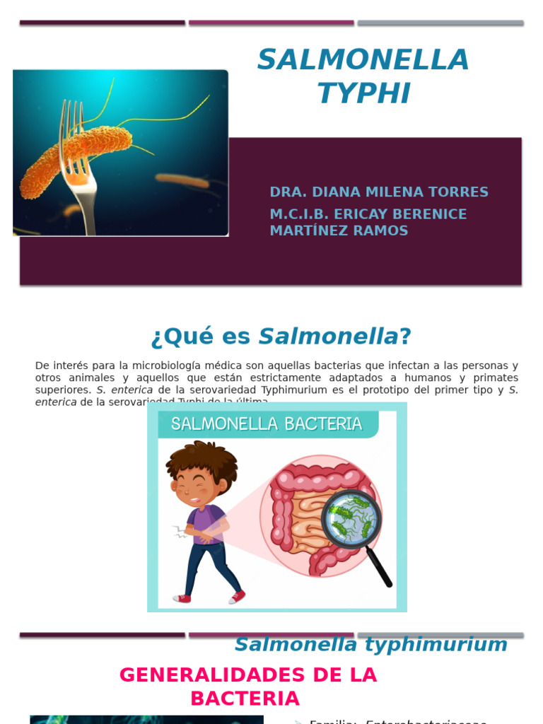 Salmonella Typhi: Patología y Prevención | PDF | Salmonela | Diarrea