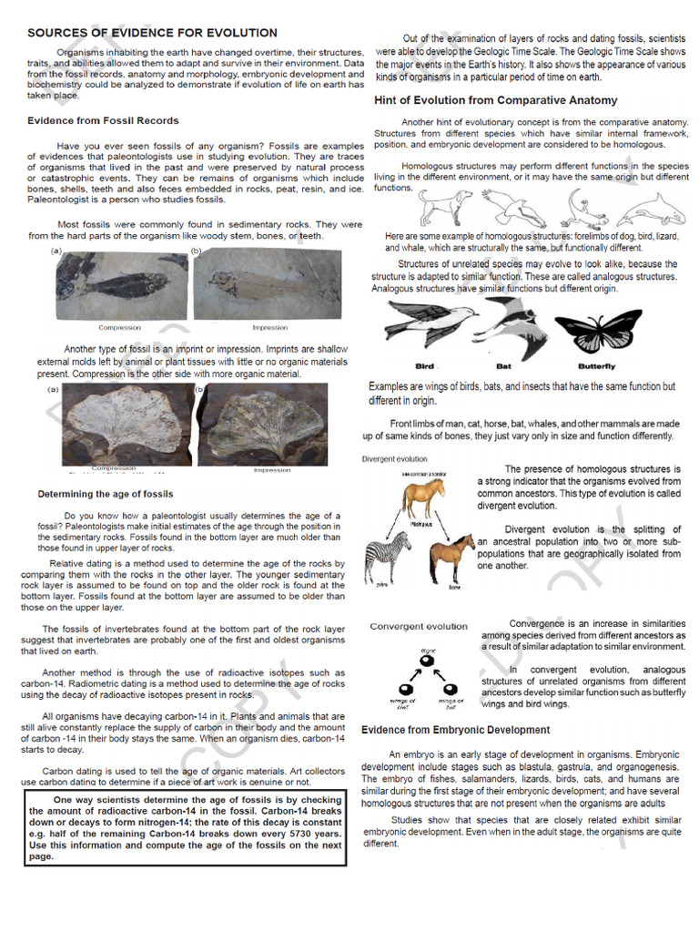 Science 10 Reviewer Q3 Module 3-4 | PDF