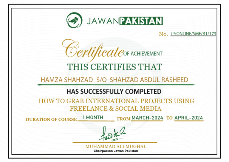 SMF Certificate for Ali Mughal | PDF