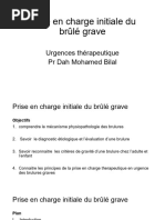 Prise en charge du grand brûlé | PDF | Brûlure | Médecine clinique