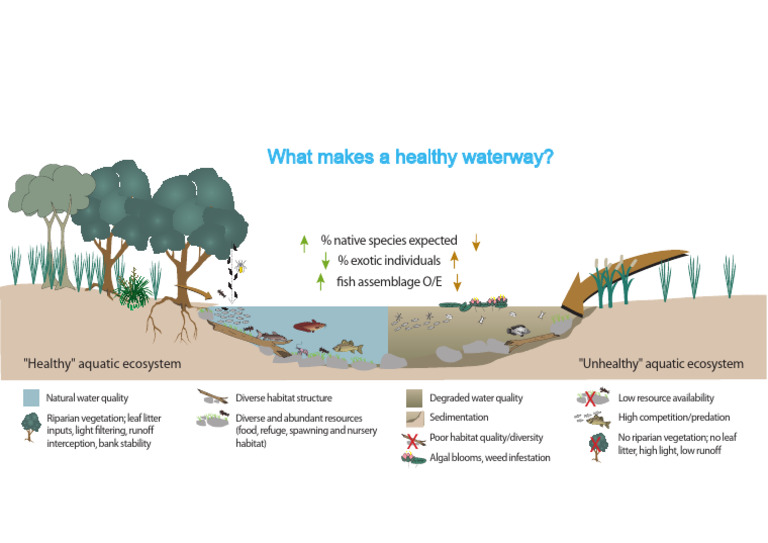 Good Bad Ecosystems | PDF