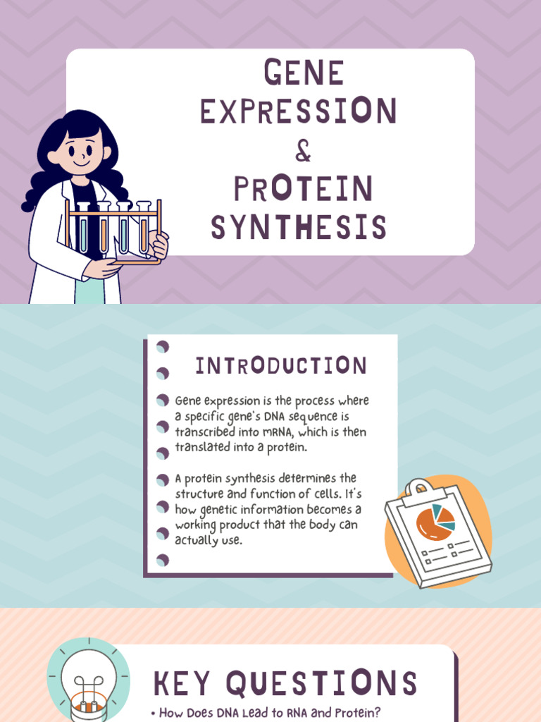 Gene Expression and Protein Synthesis | PDF | Translation (Biology) | Gene