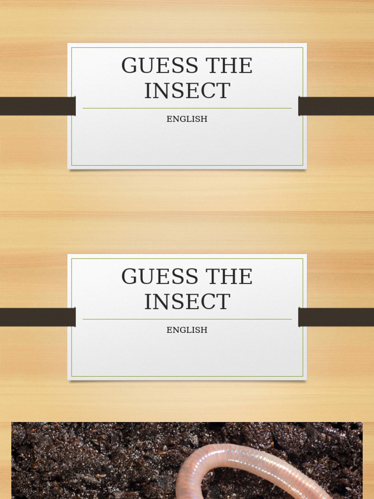 INSECTS | PDF