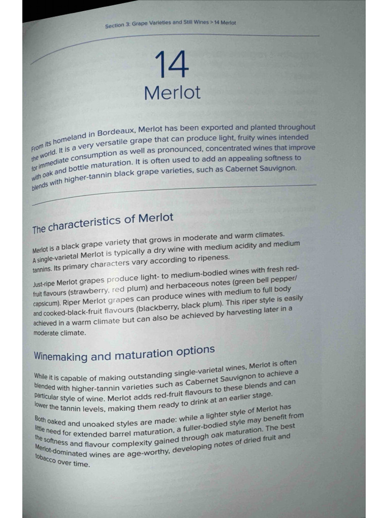 WSET 2 - Pags. 81-120 | PDF