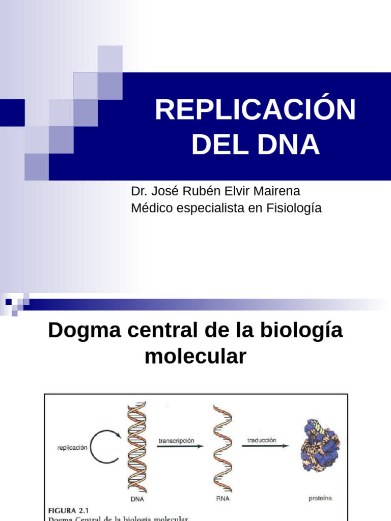 Replicacion Del Dna I Per 2025 | PDF | Replicación De Adn | Adn