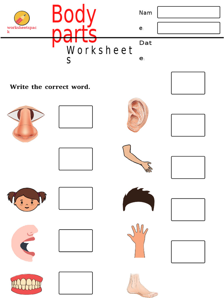 Body Parts Worksheets Write The Correct Word | PDF