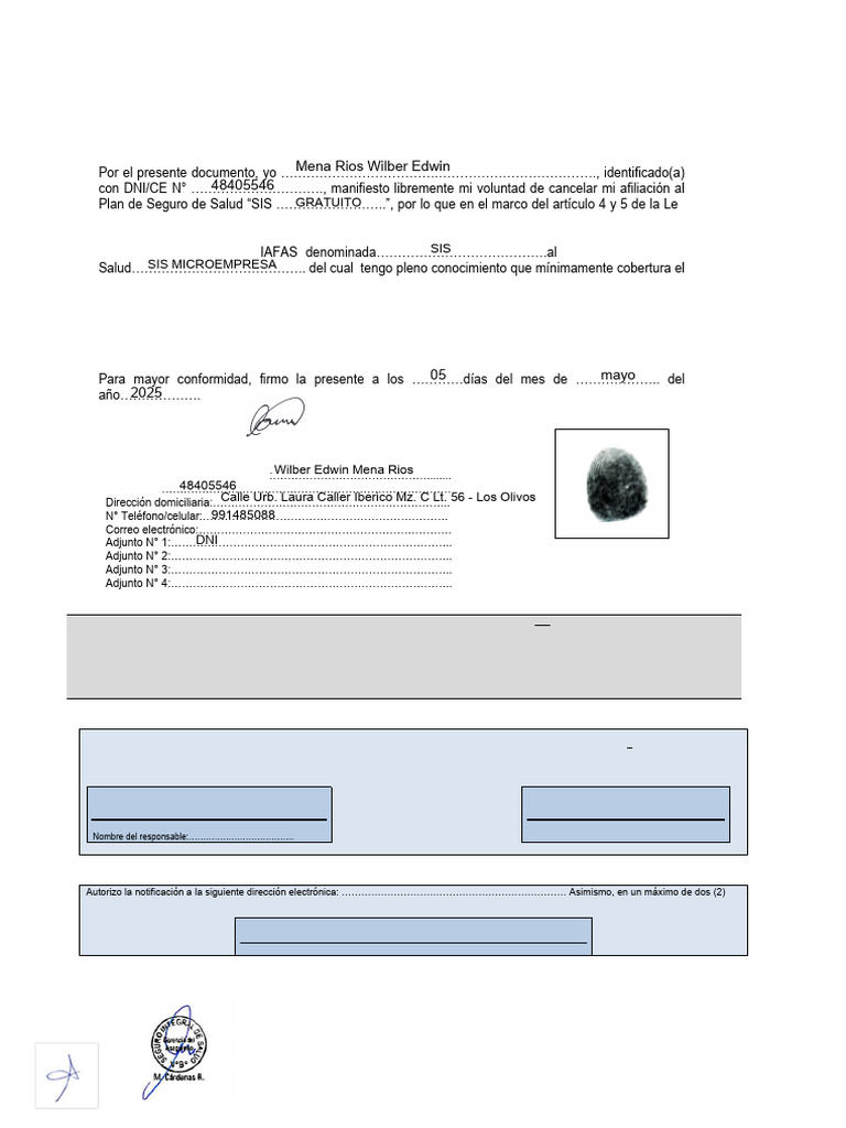 Anexo 27 - Sis | PDF