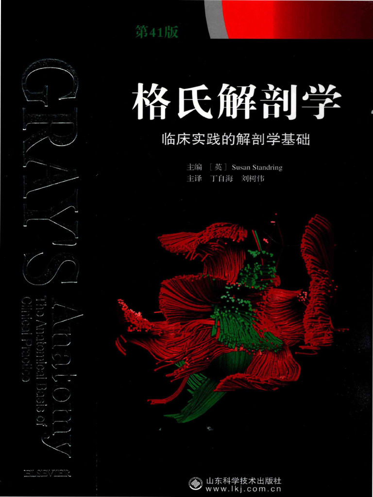 格氏解剖学 临床实践的解剖学基础 第41版 (（英）Susan Standring主编；丁自海，刘树伟主译 Etc.) (Z-library ...