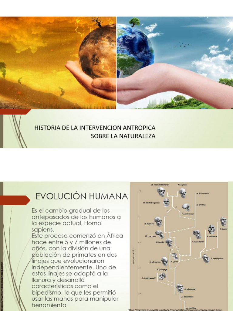 Tema 6 ECA 2025 | PDF | Ambientalismo | Evolución humana