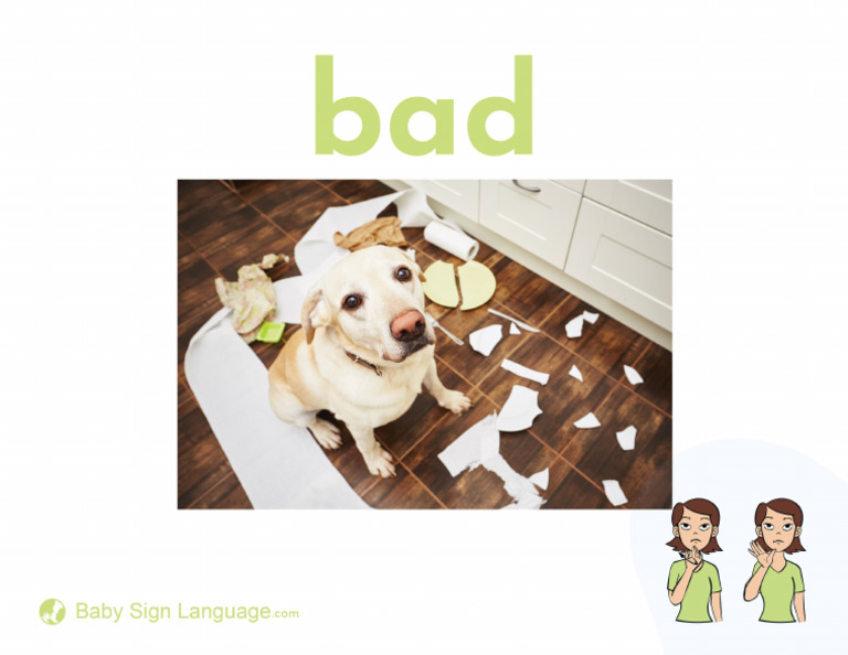 Bad Flash Card | PDF