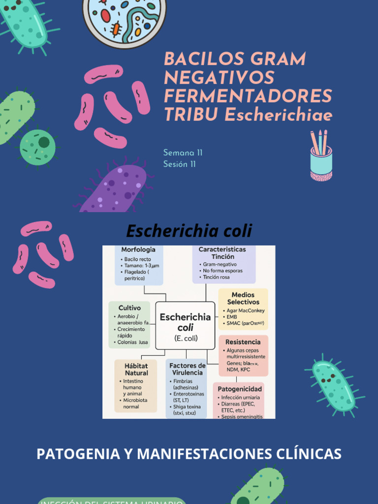 Escherichia Coli | PDF