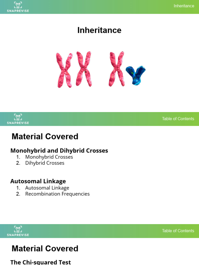 A Level Biology Inheritance Seminar Slides | PDF | Dominance (Genetics) | Genetic Linkage
