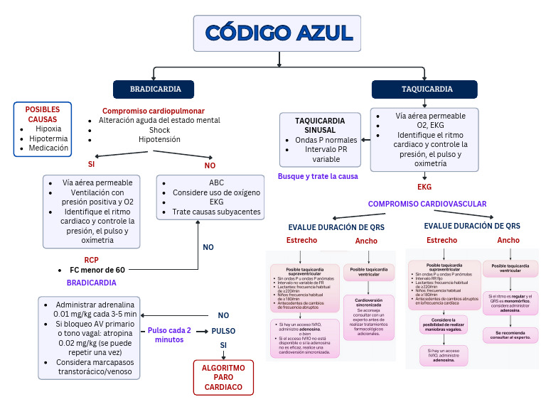 Código Azul | PDF | Especialidades Medicas | Fisiología
