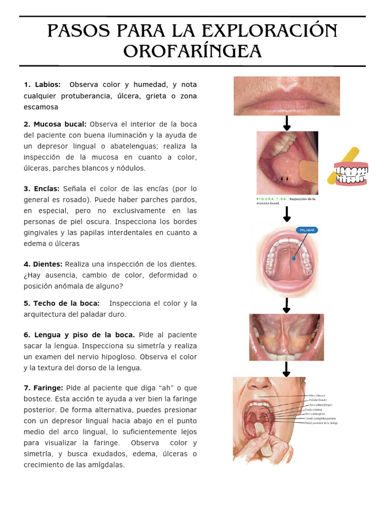 Pasos para la Exploración Orofaríngea | PDF