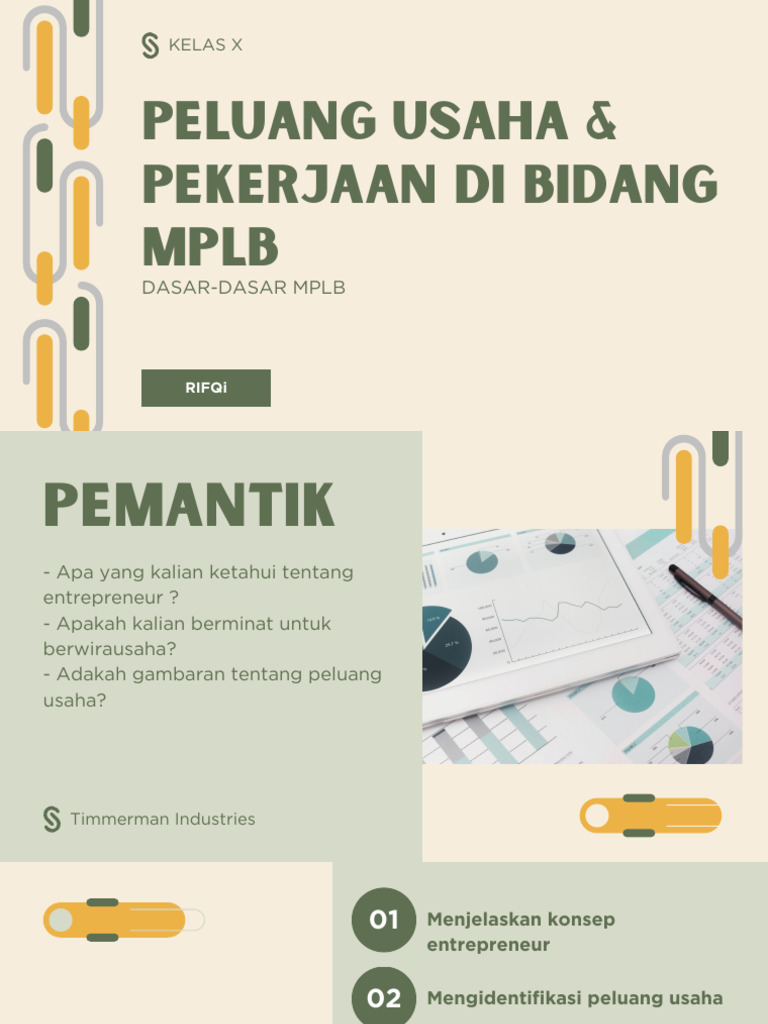 Peluang Usaha di Bidang MPLB | PDF