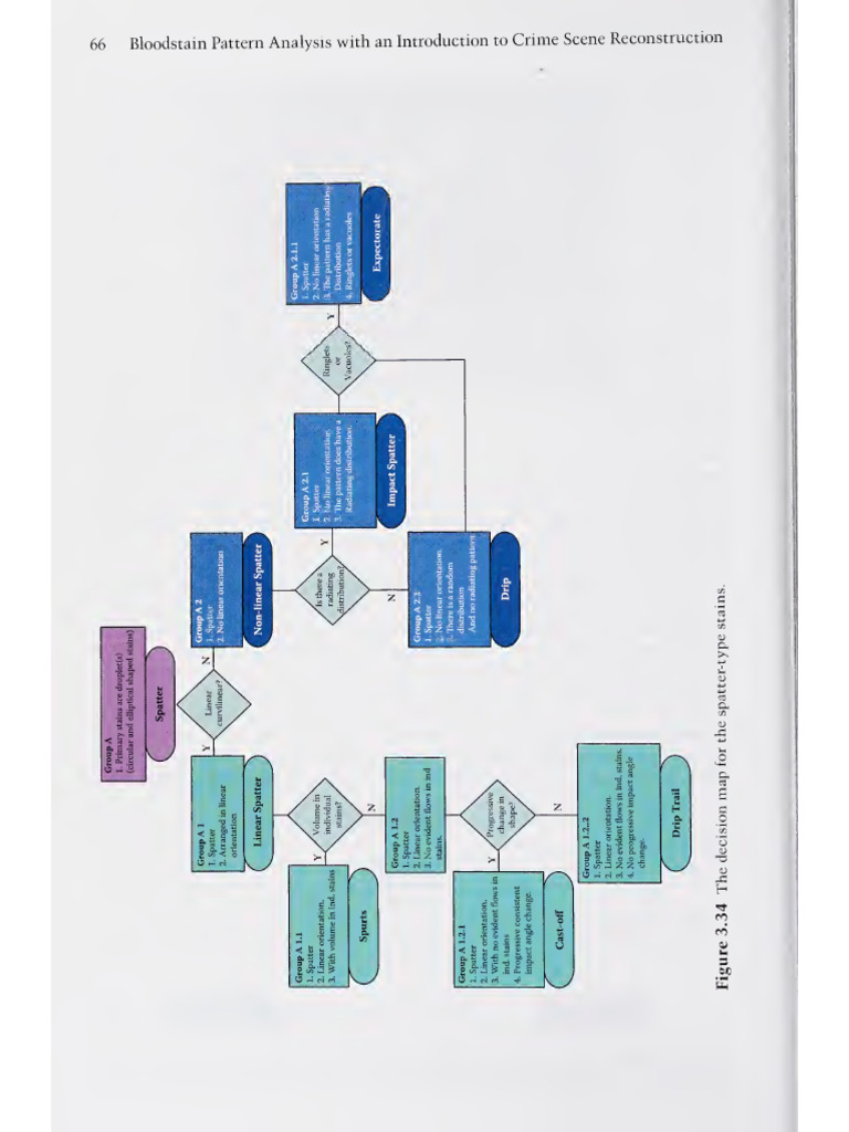 Bloodstain Pattern Analysis With An Introduction To Crime - Tom Bevel Ross M - 2 | PDF