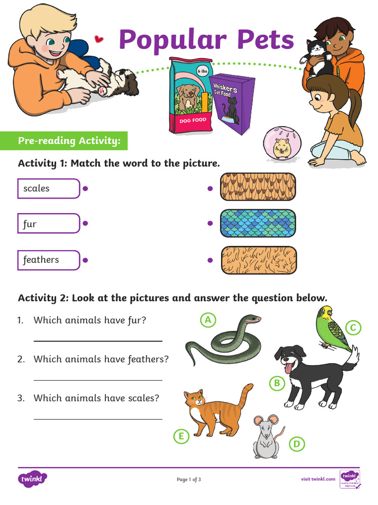 Pets Around The World Reading Comprehension Kids A1 A2 Ver 2 | PDF | English As A Second Or ...