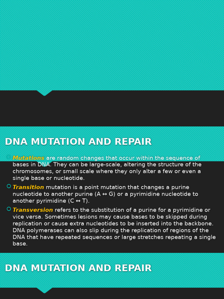 Dna Mutation and Repair | PDF | Mutation | Genetic Code