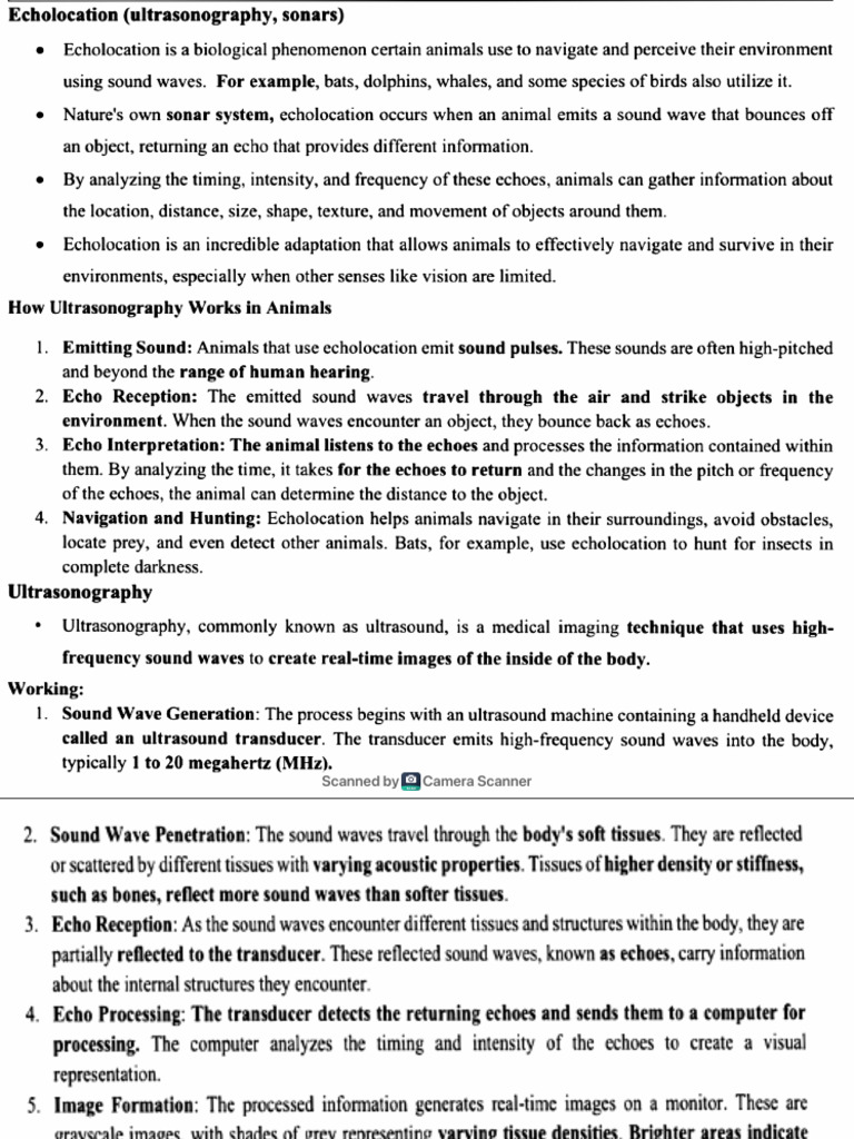 Module Bio4 | PDF