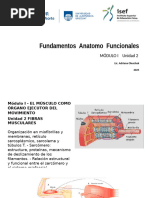 Funciones y Estructura del Sarcolema | PDF | Músculo esquelético ...