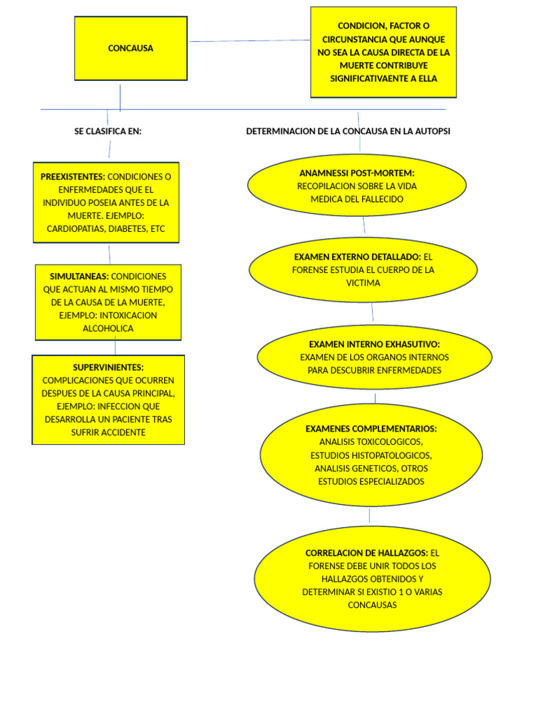 Clasificación de Concausas en Autopsias | PDF | Muerte | Cuidado de la ...