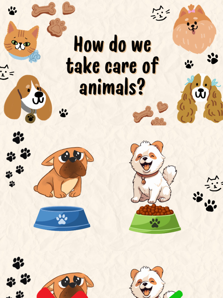 How Do We Take Care of Animals | PDF