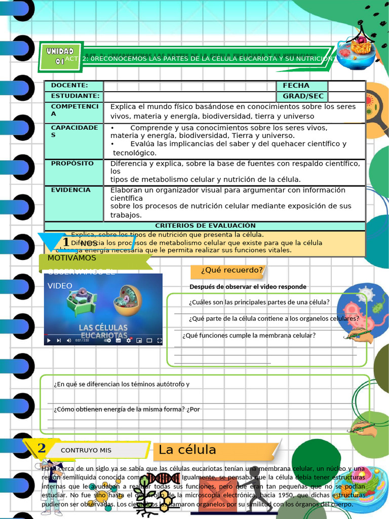 Ficha de Actividad S2 (U1) (2° Grado) - CyT | PDF | Citoplasma | Biología Celular)