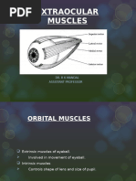 Extraocular Muscles & Ocular Motility Guide | PDF | Anatomical Terms Of ...