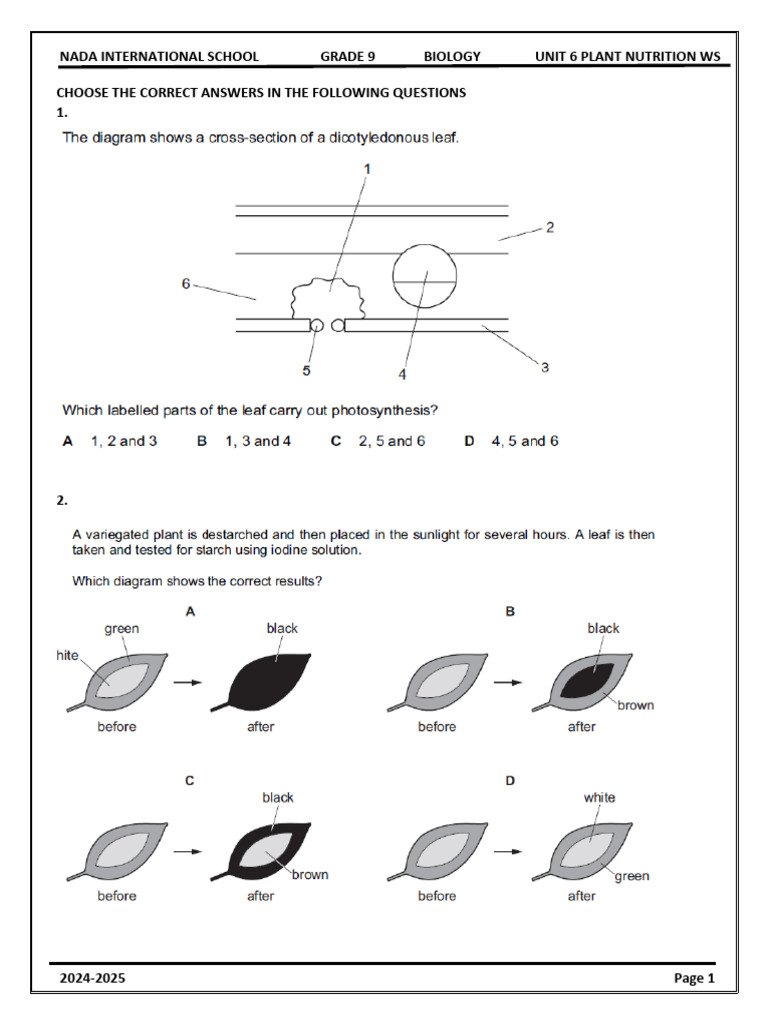 Plant Nutrition WS+MS | PDF | Chess Theory | Chess