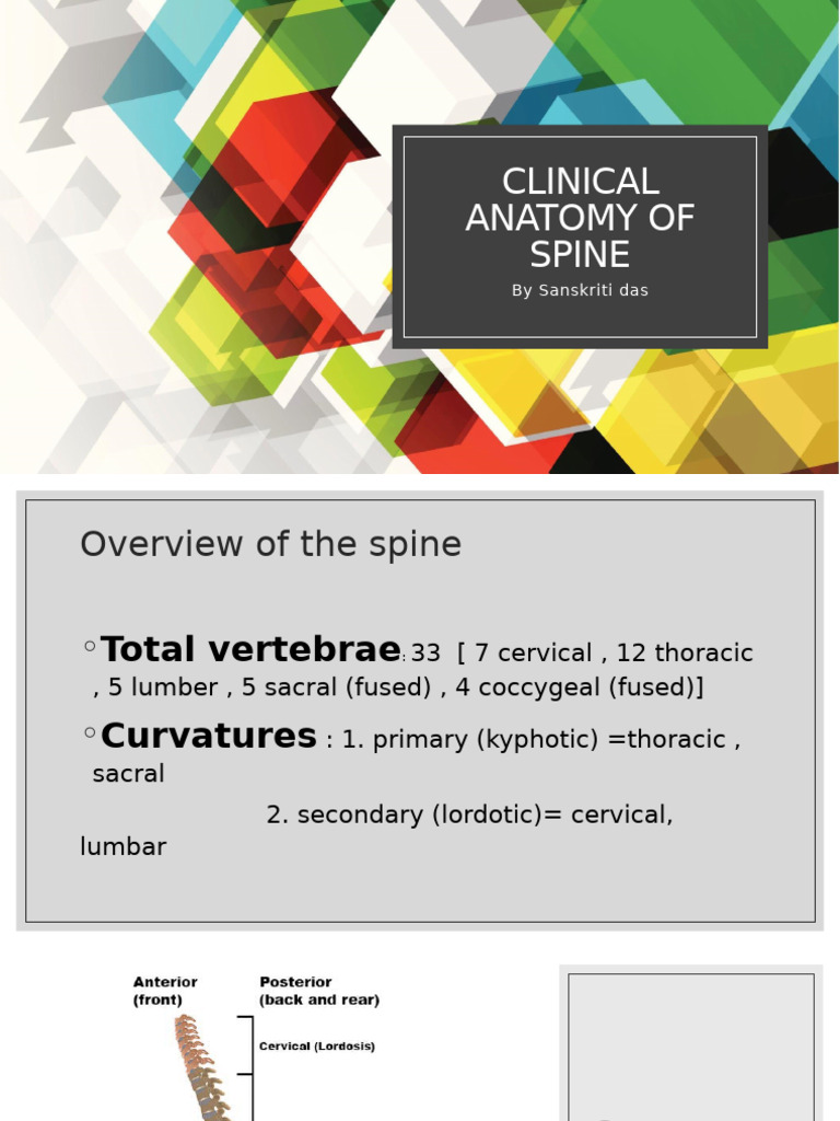Clinical Anatomy of Spine SANA | PDF
